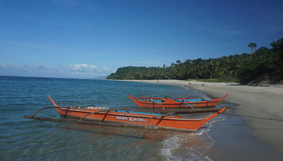 Five Reasons To Visit Mindoro If You Are In The Philippines